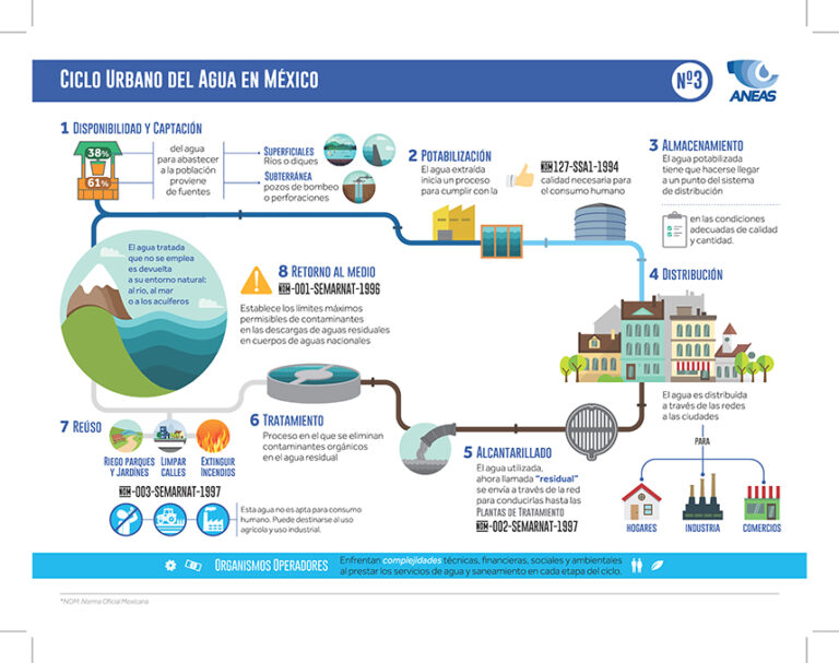 Infografías | ANEAS