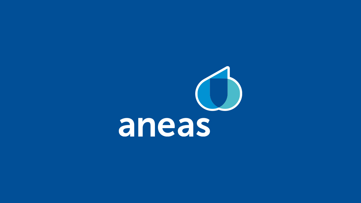Documentos oficiales | ANEAS